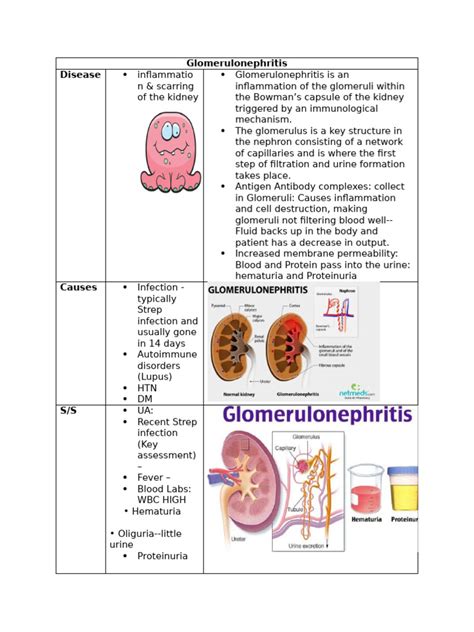 3 Glomerulonephritis Pdf Edema Causes Of Death
