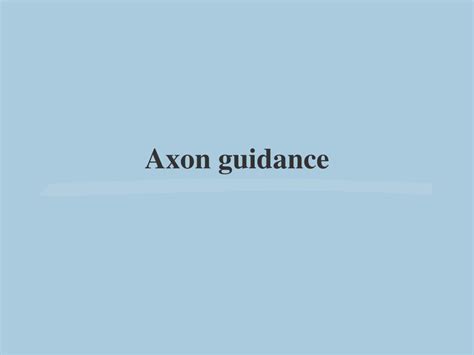 Ppt Axon Guidance Powerpoint Presentation Free Download Id 5401439