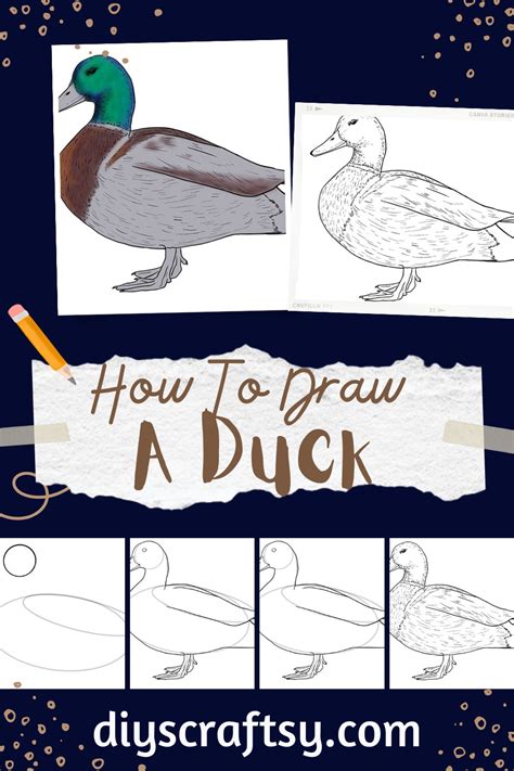 15 Cute Duck Drawing Ideas How To Draw Duck DIYsCraftsy
