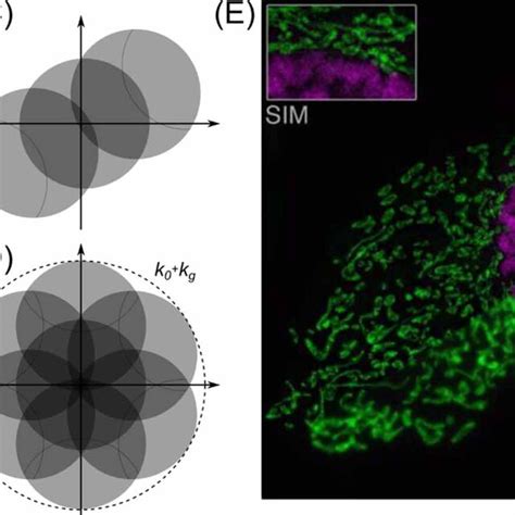 Frequency Spectrum Extension And Sr Imaging Of Sim A Spectrum Download Scientific Diagram Frequency Spectrum Extension And Sr Imaging Of Sim A Spectrum Download Scientific Diagram