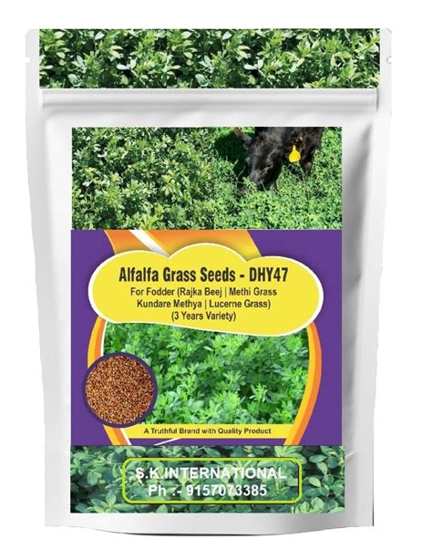 Multicut Fodder Grass Seeds Alfalfalucernekundare Methyarajka 3
