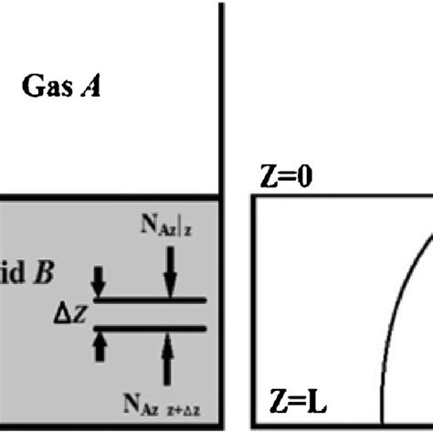 Gas Liquid System Of A Reactive Gas Absorption Download Scientific