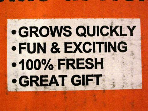 Future Proof Protecting Our Digital Future What Is Future Proof