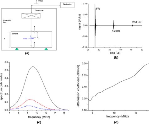 Determination Of The Attenuation Coefficient Vs Frequency A Download Scientific Diagram