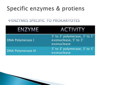Replication In Eukaryotes And Prokaryotes Pptx Biological Sciences Science