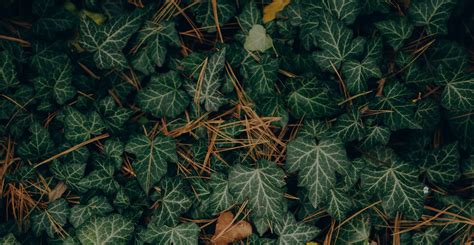 Carousel Vue Material Kit Pro