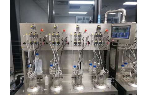 Benchtop Glass Bioreactor In Situ Sterilizable Fermenter For Sale Sinotech