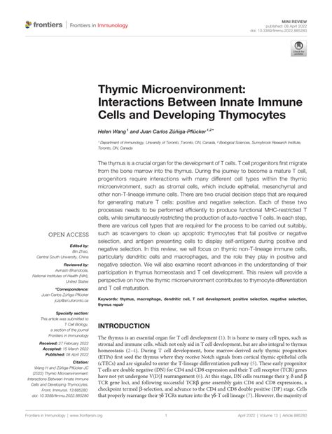 Pdf Thymic Microenvironment Interactions Between Innate Immune Cells And Developing Thymocytes