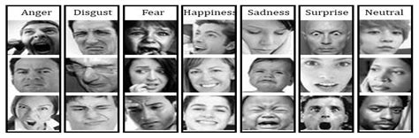 Development Of Real Time Landmark Based Emotion Recognition Cnn For Masked Faces