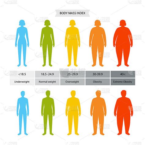 身体质量指数
