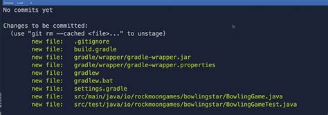 Chapter Committing And Pushing
