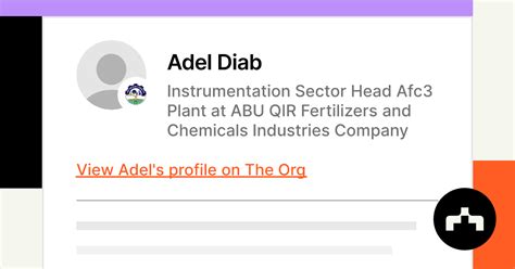 Adel Diab Instrumentation Sector Head Afc3 Plant At Abu Qir
