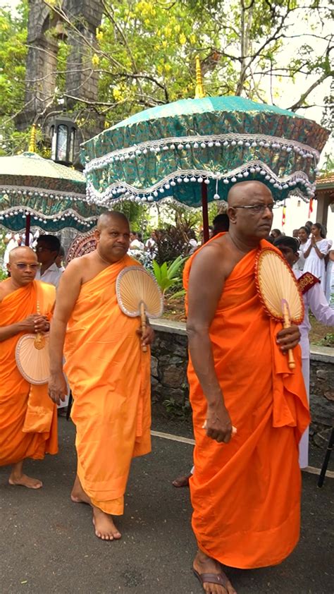 🔴අවසන් මහා පෙරහර සුදානම සජිවීව 🔴අවසන් මහා පෙරහර සජිවීව