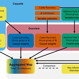 Flow Chart Detailing Focus Group Locations And Exercises Download Scientific Diagram