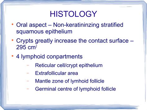 Anatomy And Physiology Of The Palatine Tonsil Ppt