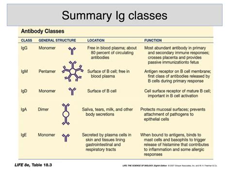 Immuno Exam 1 Lecture 6 Antigen Antibody Diagram Quizlet