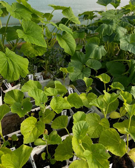 Project Host Project Host Added A New Photo