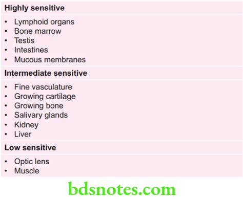Oral Radiology Multiple Choice Question And Answers Bds Notes