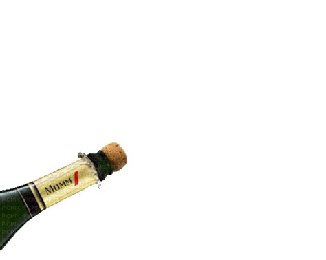 Party Champagne Champagner Montre Sekt Sparkling Wine Birthday