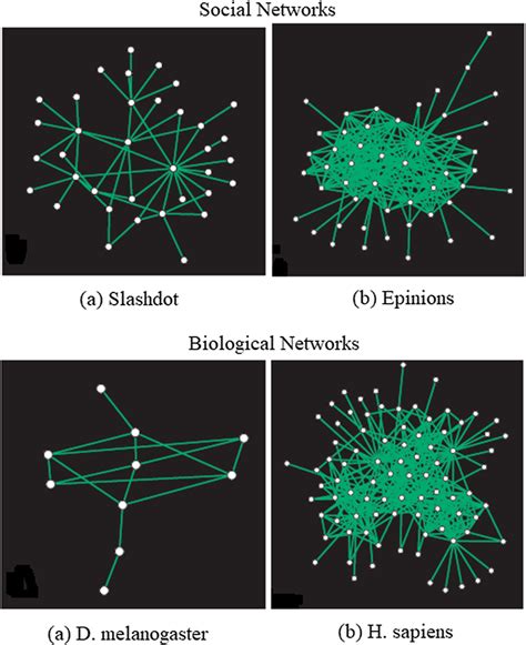 Visual Examples Of Communities In Complex Networks Of Different