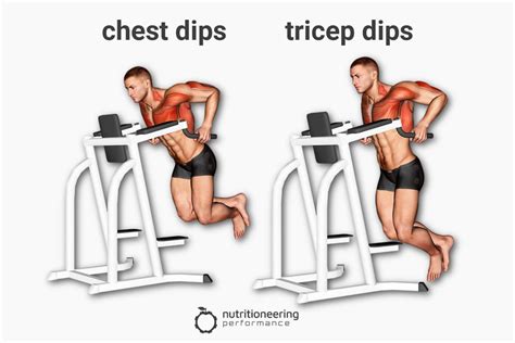 How To Do Tricep Dips