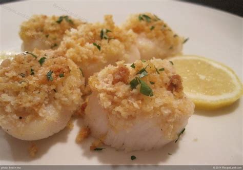 Baked Sea Scallops Recipe Recipeland