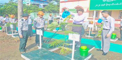 စစ်တွေမြို့၌ ၂၀၂၄ ခုနှစ် မိုးရာသီသစ်ပင်စိုက်ပျိုးပွဲကျင်းပ Myawady Webportal