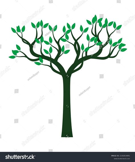 Green Tree Vector Outline Illustration Stock Vector Royalty Free 2142814891 Shutterstock