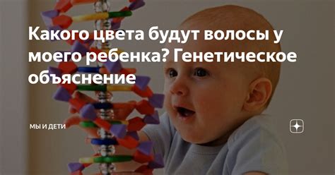 Какого цвета будут волосы у моего ребенка Генетическое объяснение Уроки Легко Рабочие листы
