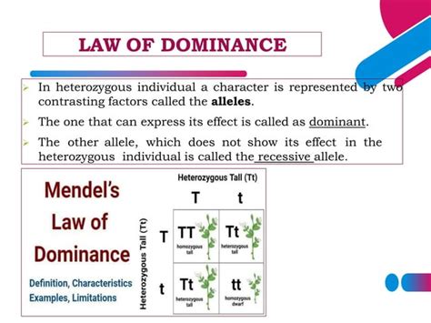 4 Unit I Chromosomal Aberrations Patterns Of Inheritance Pptx Genetics Science
