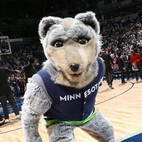 The 26 Best Nba Mascots Right Now Ranked