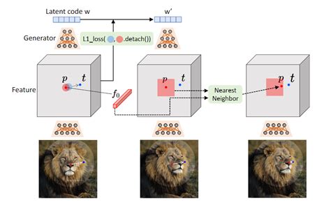 最新开源的 Draggan 官方应用来啦 ！浏览器内轻触鼠标、交互式编辑、在线体验 知乎