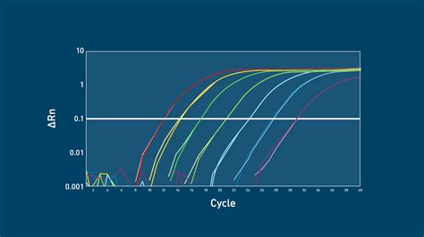 Qpcr Analysis How A Qpcr Machine Works And Qpcr Protocol Technology Networks