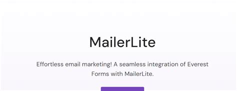 Download Everest Forms Mailerlite