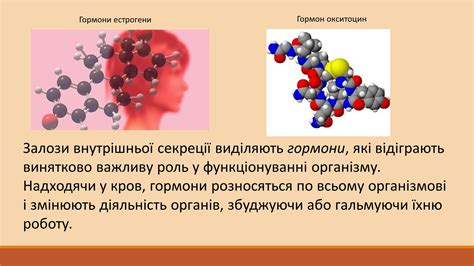 Презентація на тему Ендокринна регуляція функцій організму — презентації з біології Gdz4you