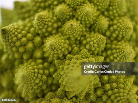 Broccoli Fractal Photos And Premium High Res Pictures Getty Images
