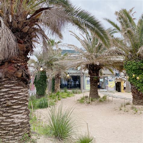 제주 애월 핫플레이스 노티드 도넛 제주 Knotted Jeju