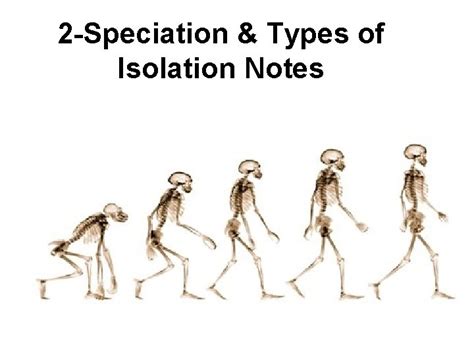 Speciation Types Of Isolation Notes What Is
