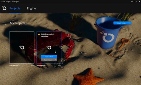 Project Manager User Is Able To Open The Editor Before A Created Project Is Built · Issue 7632