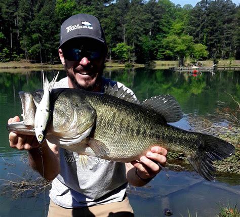 Working Class Zero Limited Amount Of The Standard Logo Hood In Army Are Back In Stock At Our