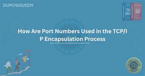 Mastering Networking How Are Port Numbers Used In The Tcpip