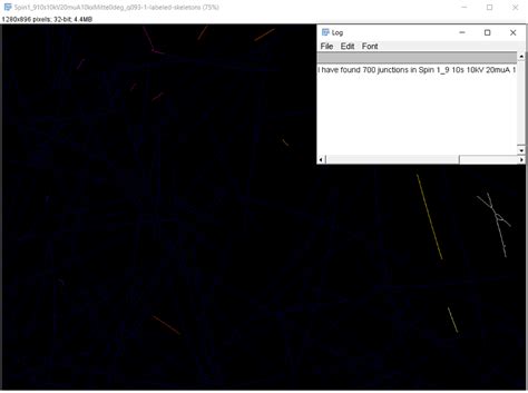 Counting Line Intersections Using Imagej Image Analysis Imagesc Forum
