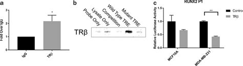 Trβ Binds To The Runx2 Promoter A Chromatin Immunoprecipitation Pcr
