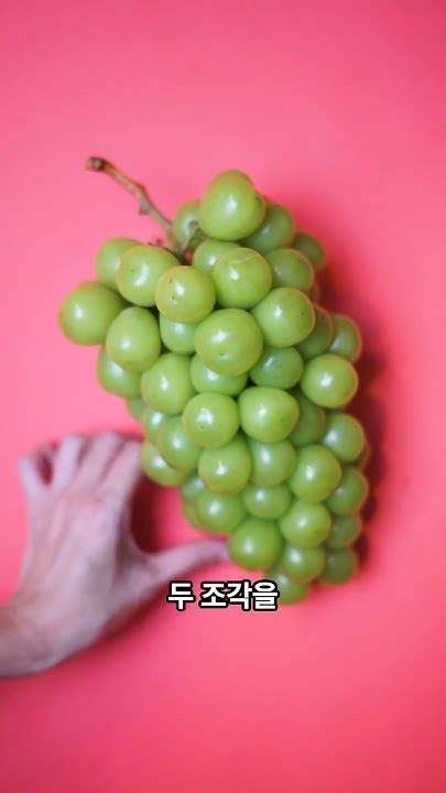 포도를 전자레인지에 넣으면 불이 난다고 전자레인지실험 포도와플라즈마 흥미로운사실 유튜브쇼츠 과학실험 플라즈마