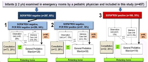 Study 2 Bed Management Of Infants Sofia ® Rsv Negative And Sofia ® Rsv