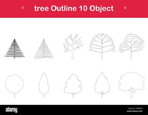 Tree Line Drawing Side View Graphics Trees Elements Single Object Outline Minimal Plant Symbol