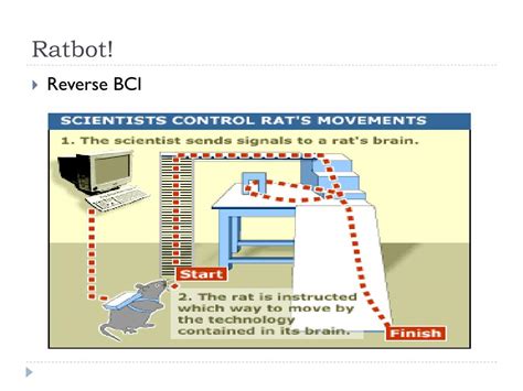 PPT Brain Computer Interface PowerPoint Presentation Free Download ID