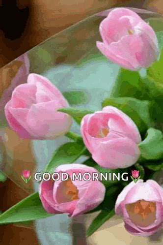 Lily Flower Gif Lily Flower Discover Share Gifs