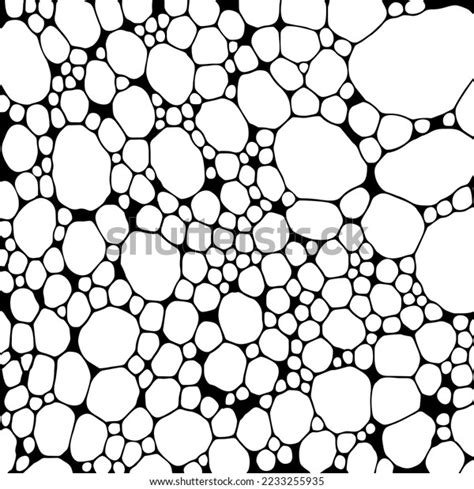 Example Model Polydisperse System Related Oval Shaped Stock Vector